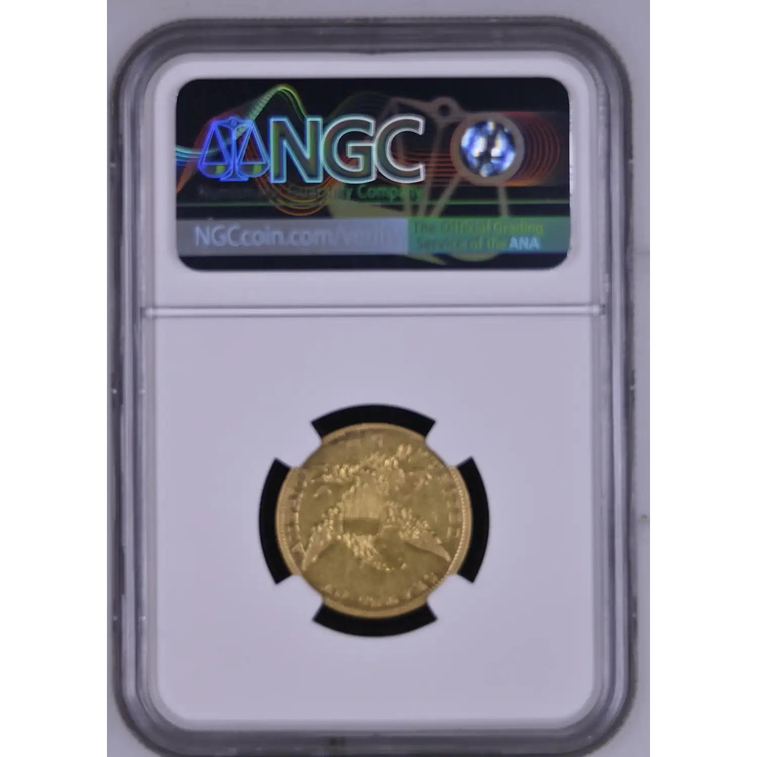 1838-C Gold Half Eagles Classic Head NGC VF Details Charlotte - Hyatt Coins
