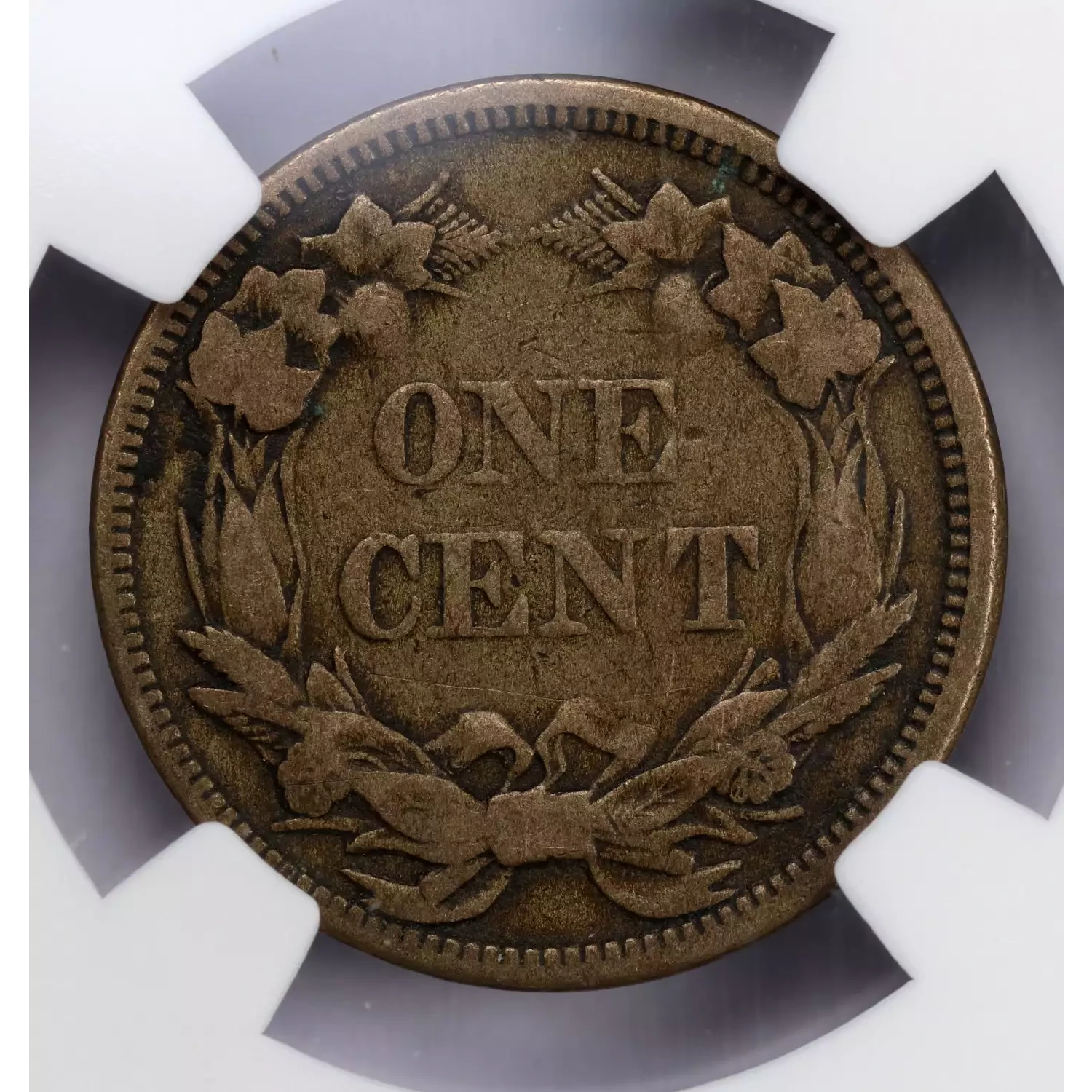 1858 Small Cents Flying Eagle NGC VF-20 LARGE - Hyatt Coins